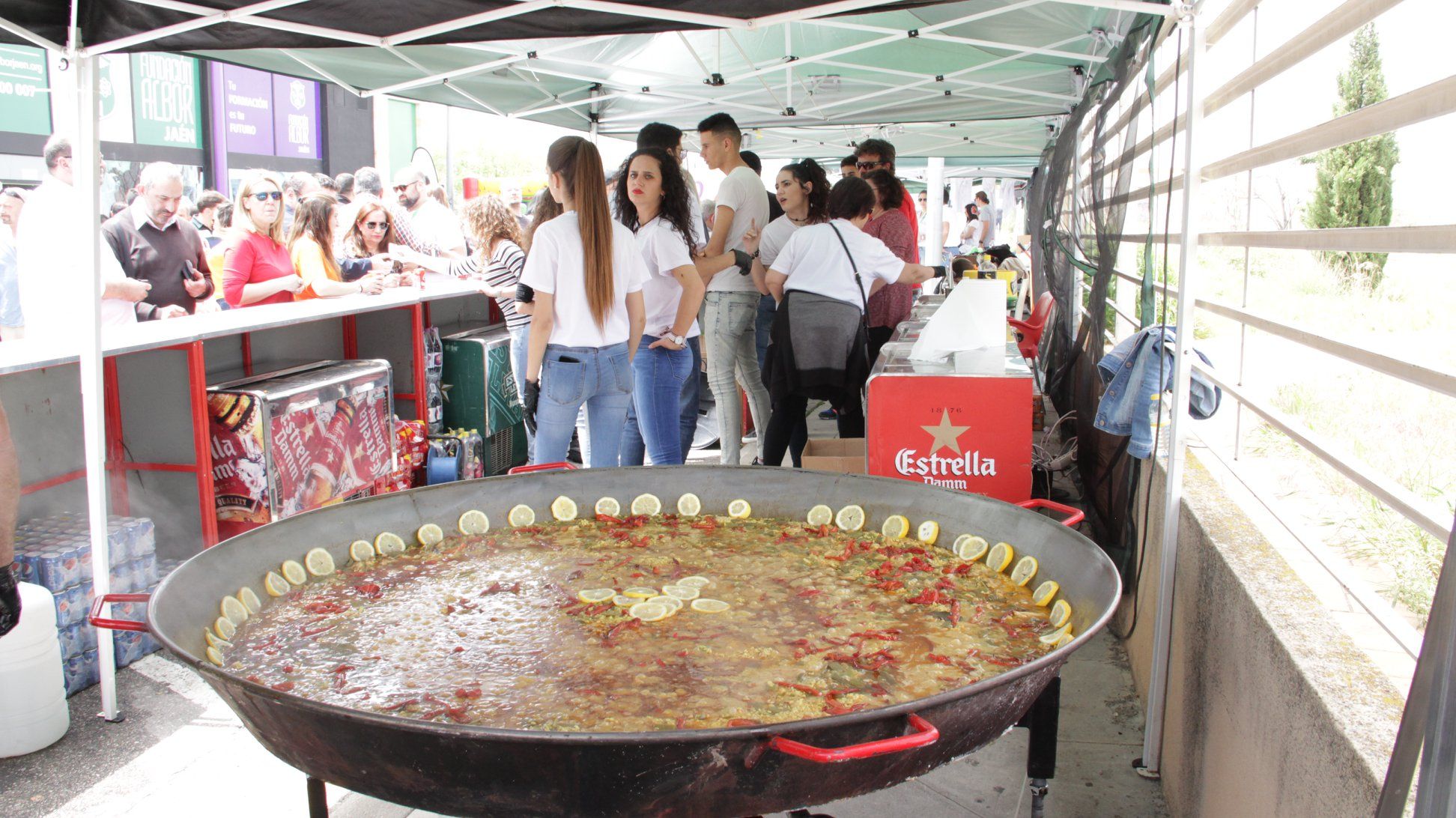 Obra Social – Fundación ALBOR